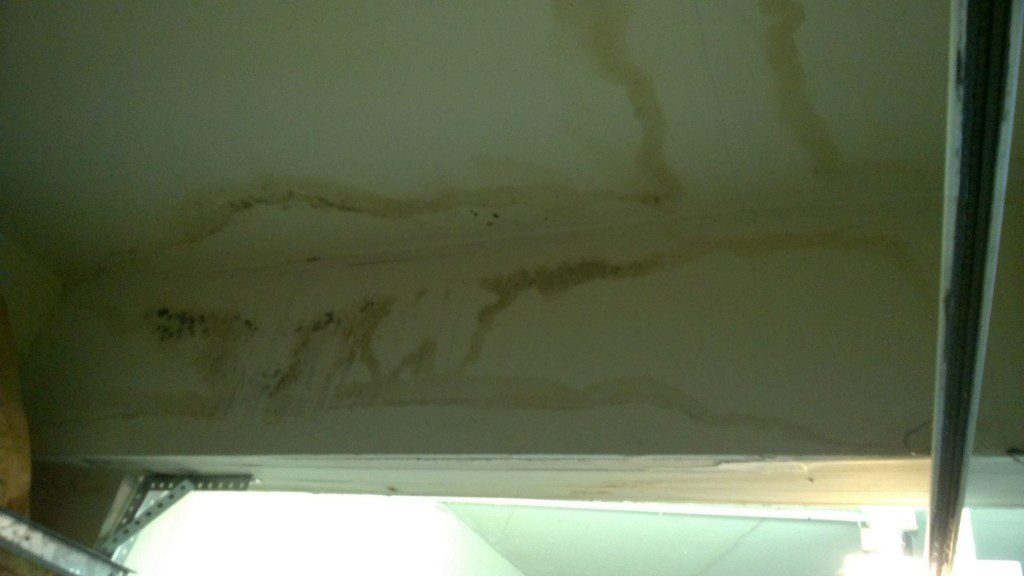 Water Damage Prevention For Your Home | Next Stage Design